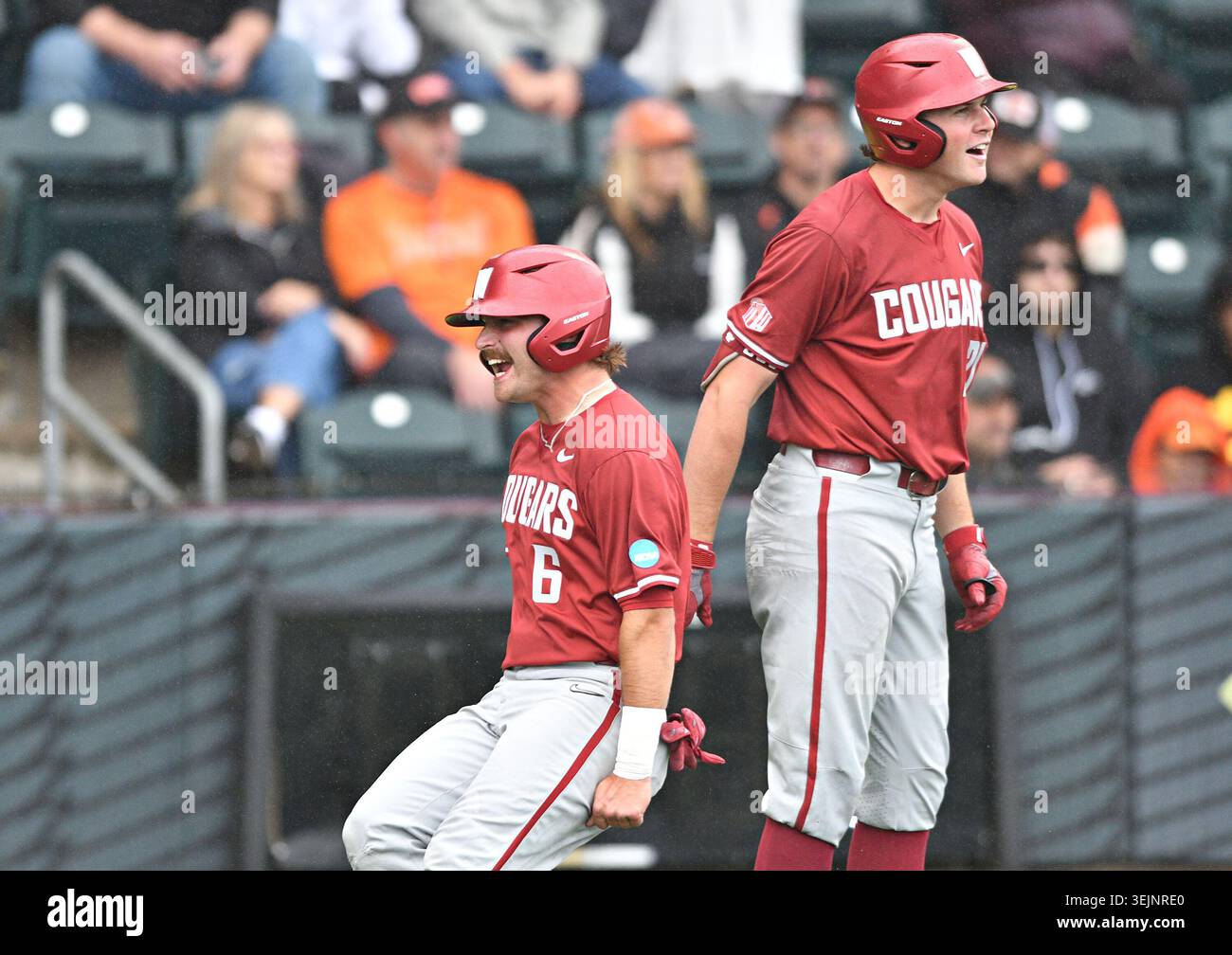 Washington State infielder Gavin Roy (6) celebrates in front of ...