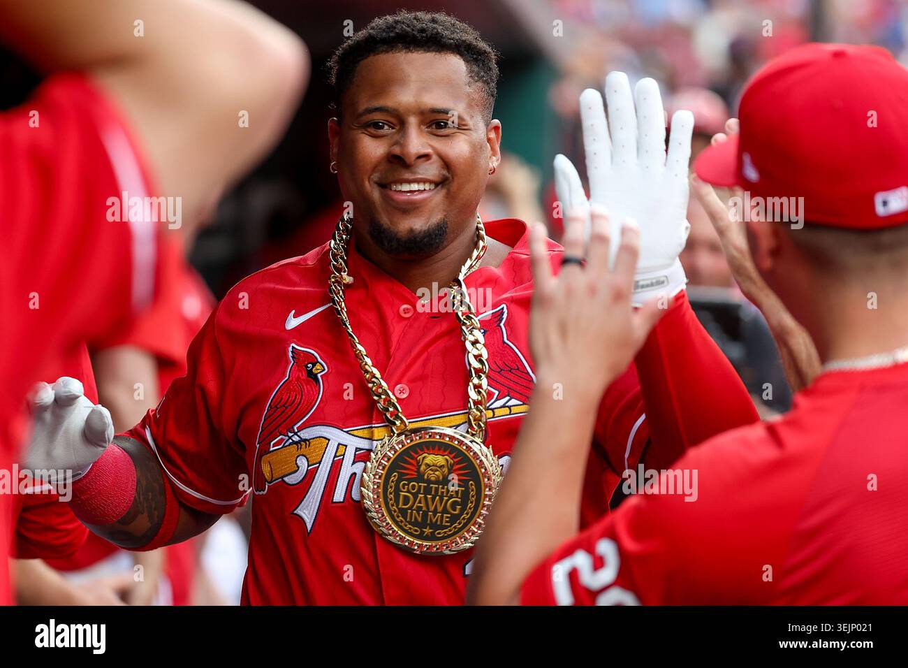 St. Louis Cardinals' Nelson Velázquez is congratulated by teammates ...