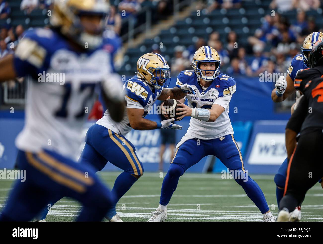 Winnipeg Blue Bombers quarterback Taylor Elgersma (13) hands off to ...