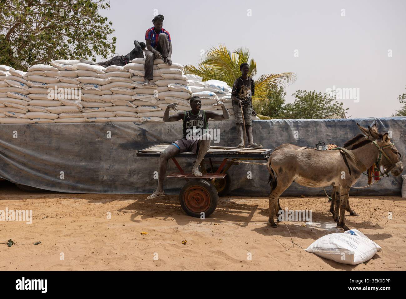 Workers sit atop a truck carrying chemical fertilizer on the road to ...