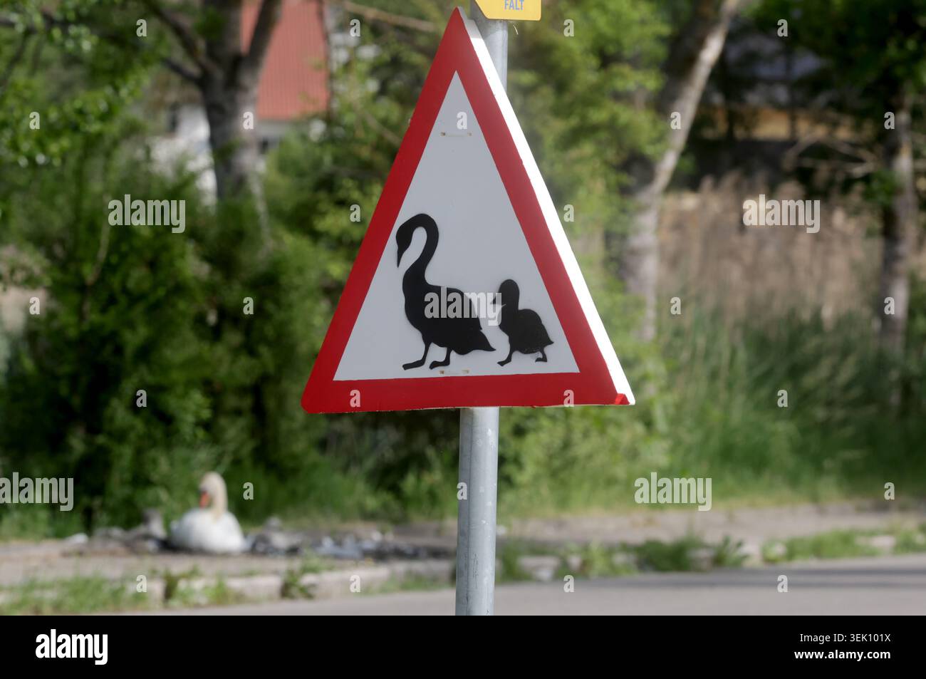 31 May 2026, Baden-Württemberg, Riedlingen: A self-painted traffic sign ...