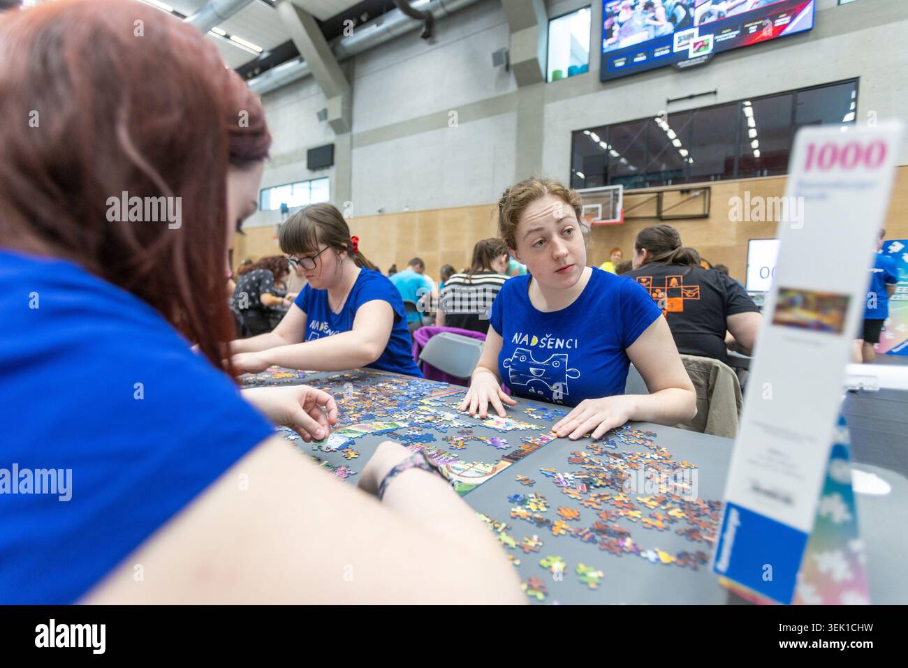 The final day of the time puzzle competition on May 31, 2026, Ostrava ...