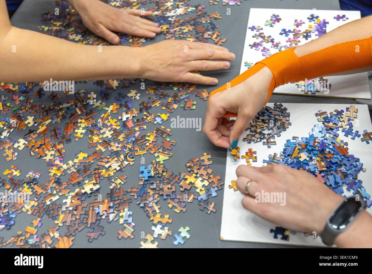 The final day of the time puzzle competition on May 31, 2026, Ostrava ...