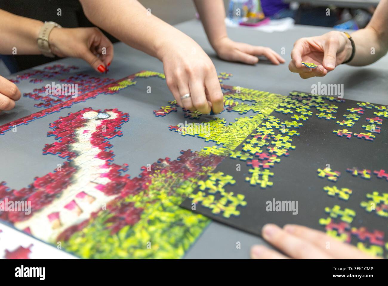 The final day of the time puzzle competition on May 31, 2026, Ostrava ...