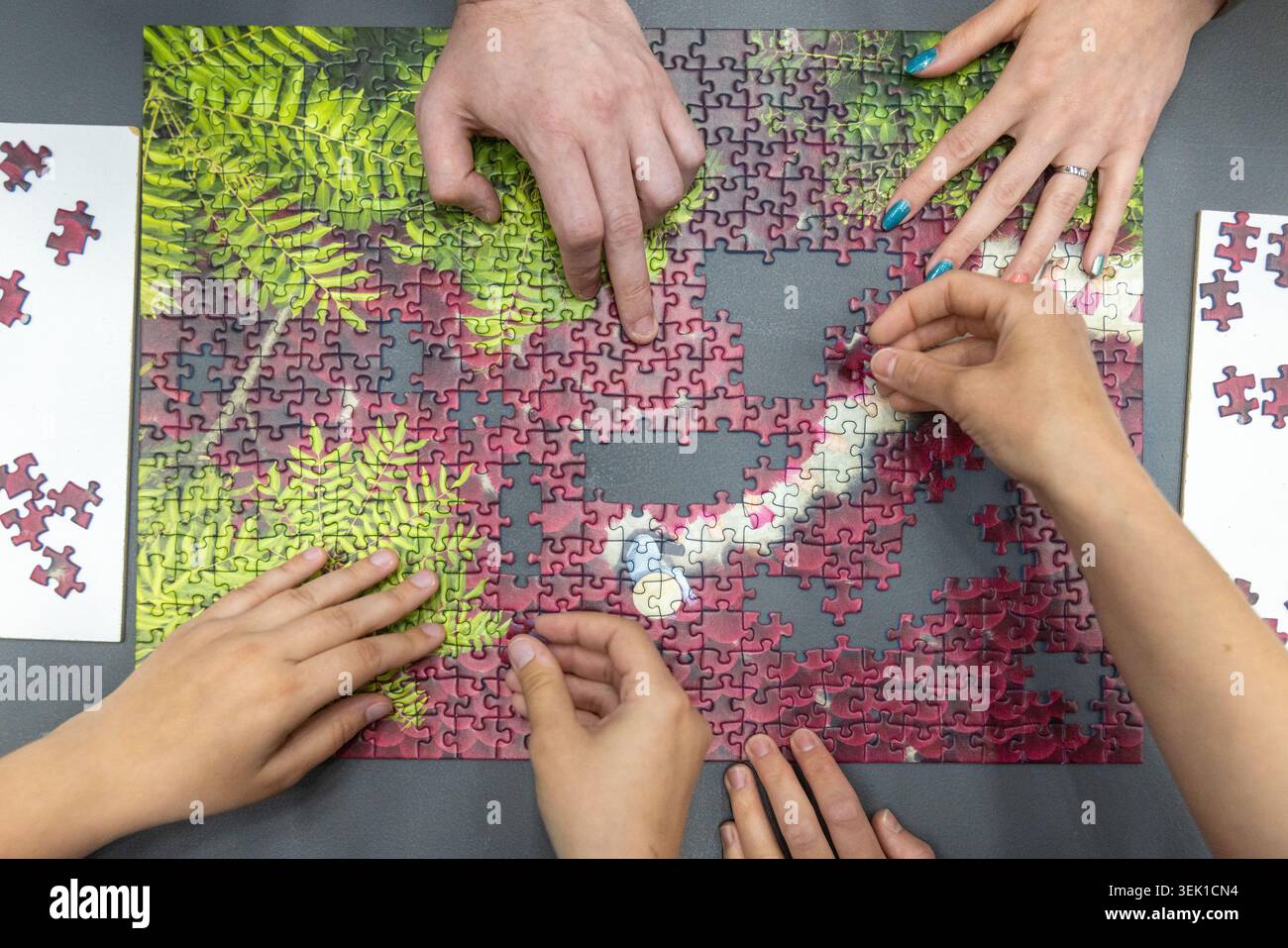 The final day of the time puzzle competition on May 31, 2026, Ostrava ...