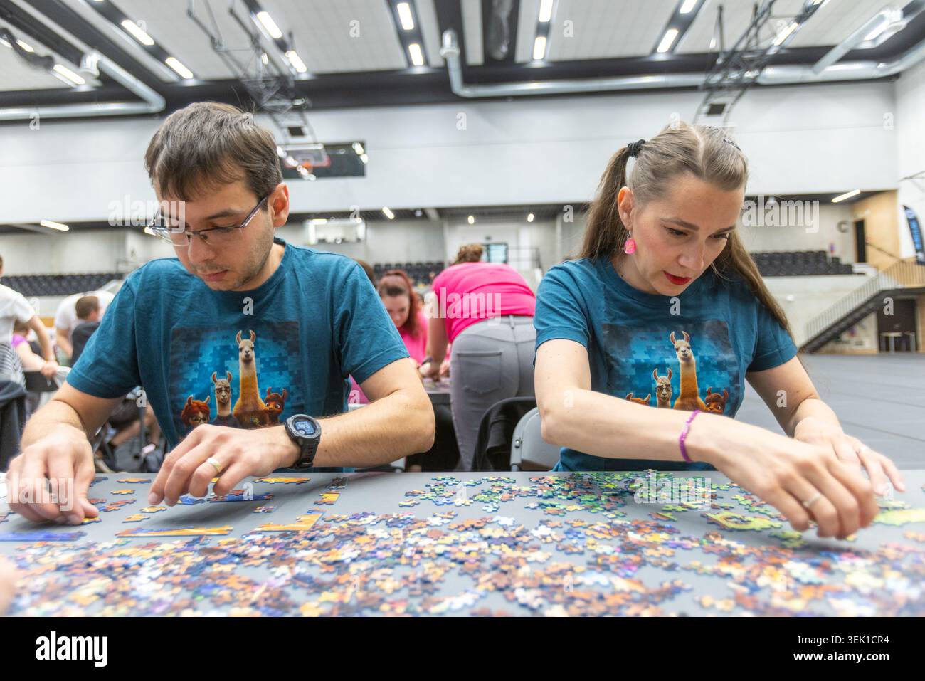The final day of the time puzzle competition on May 31, 2026, Ostrava ...