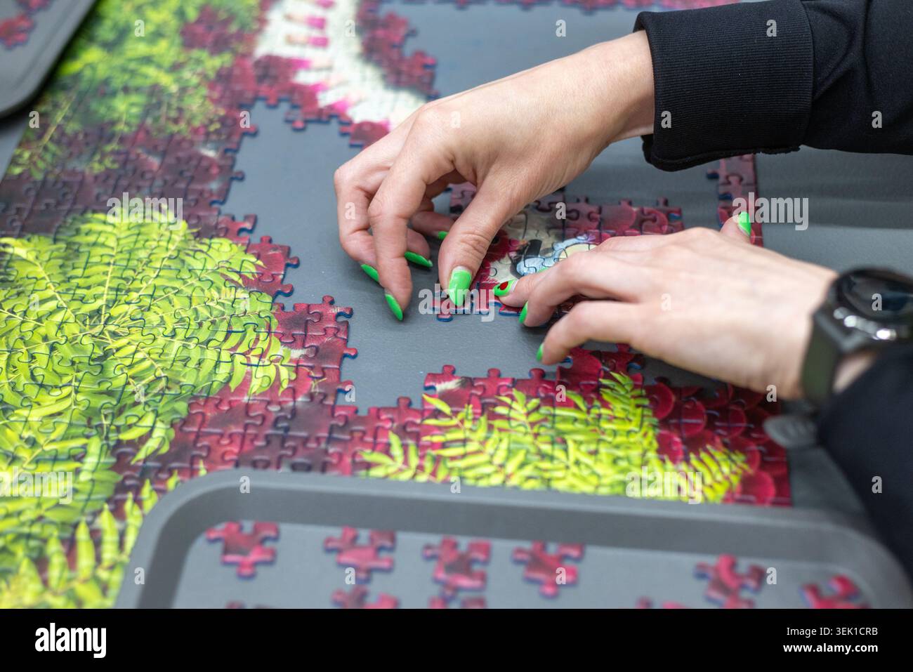 The final day of the time puzzle competition on May 31, 2026, Ostrava ...