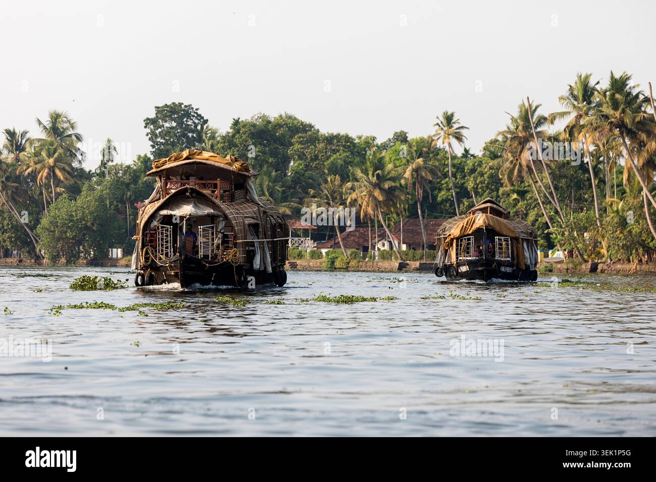 Kerala backwaters in Alleppey In India, water channels, small villages ...