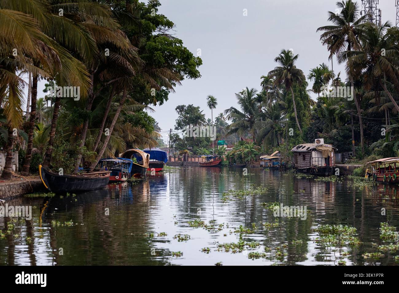Scenic Kerala backwaters near Alleppey in India, water channels, small ...