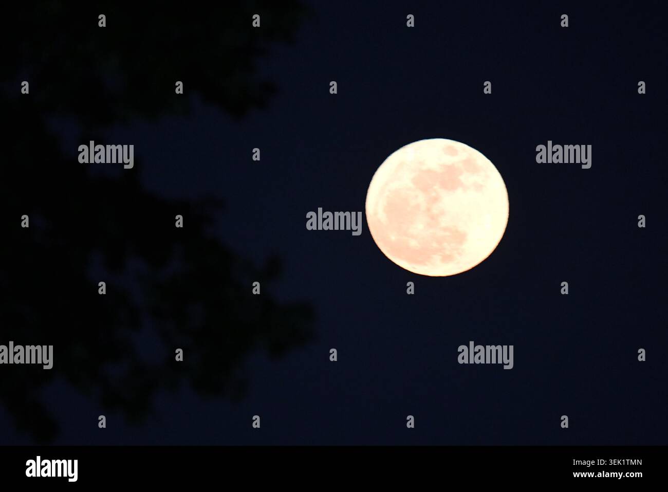 The year's smallest full moon, also known as a 'Blue Moon', appears ...
