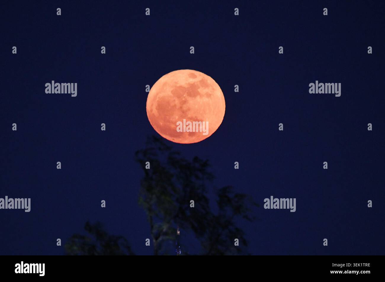 The year's smallest full moon, also known as a 'Blue Moon', appears ...