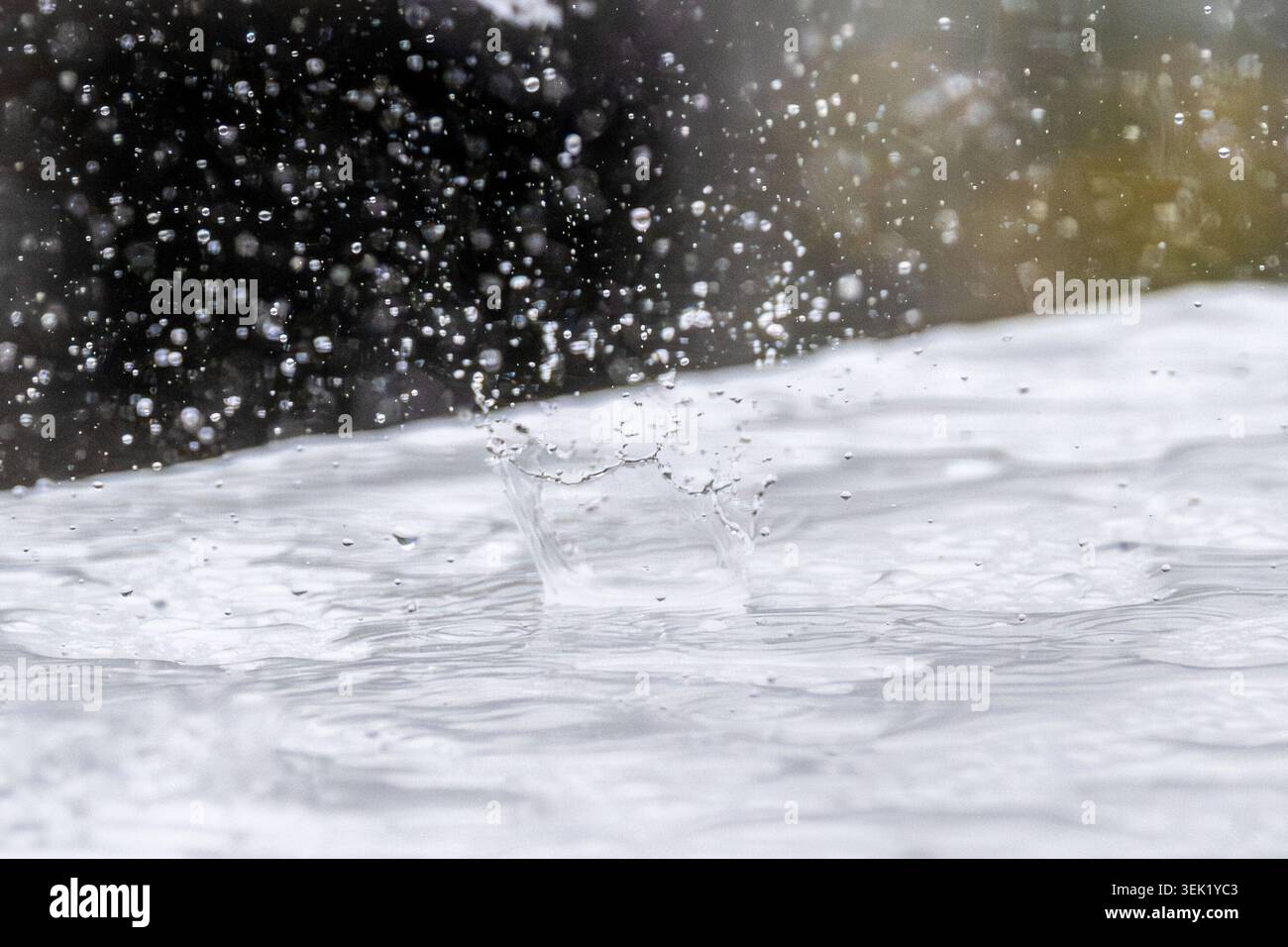 31 May 2026, Bavaria, Herzogenaurach: Raindrops patter on a garden ...