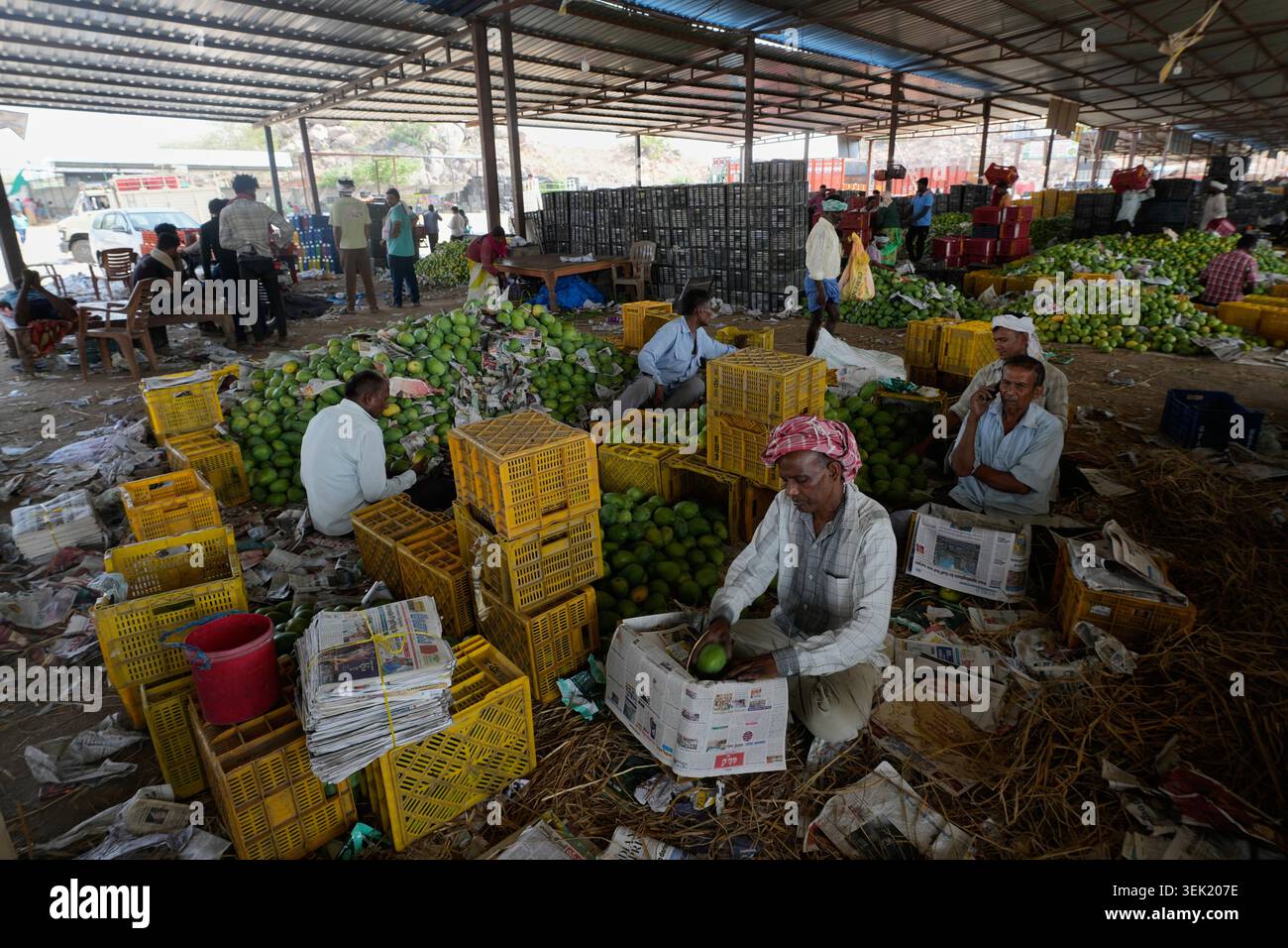 Laborers sort mangoes at a wholesale fruit market on the outskirts of ...