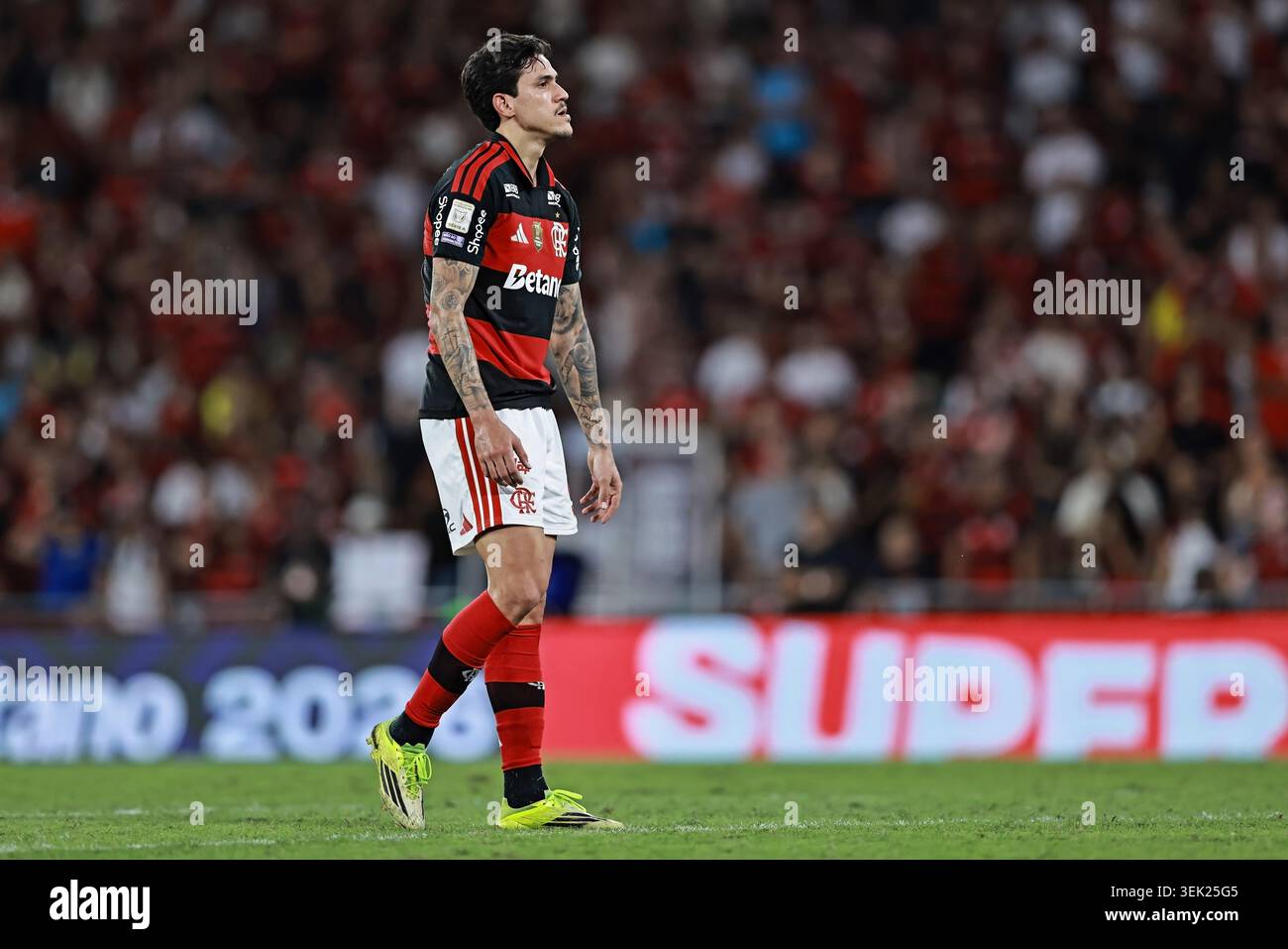 30th May, 2026; Maracana Stadium, Rio de Janeiro, Brazil; Brazilian ...