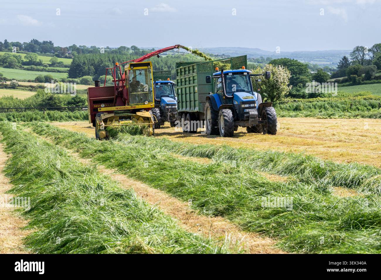 Kilbrittain, West Cork, Ireland. 29th May, 2026. On a sunny day in West ...