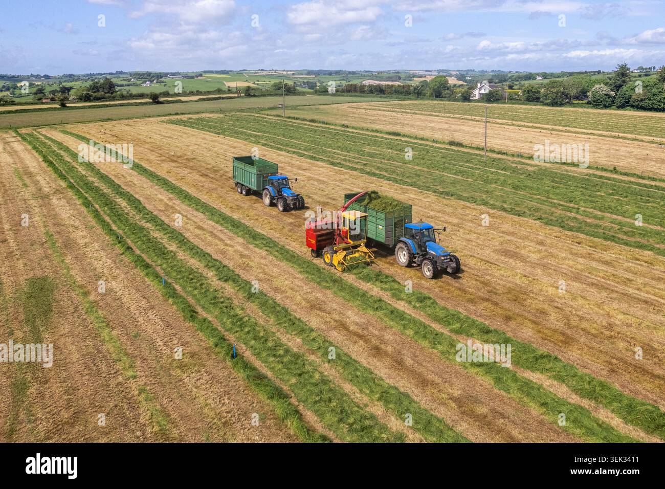 Kilbrittain, West Cork, Ireland. 29th May, 2026. On a sunny day in West ...