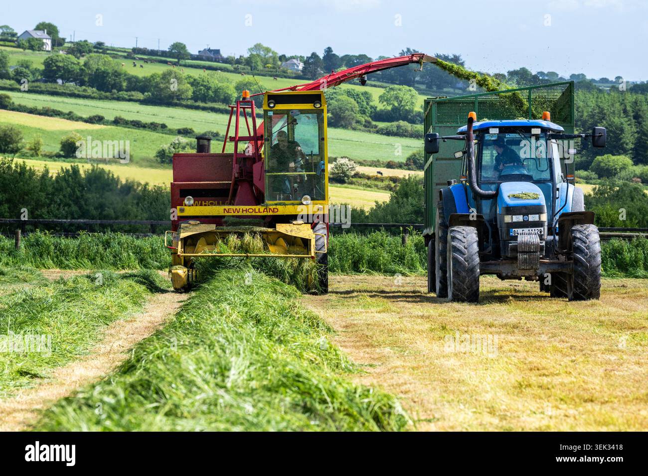 Kilbrittain, West Cork, Ireland. 29th May, 2026. On a sunny day in West ...
