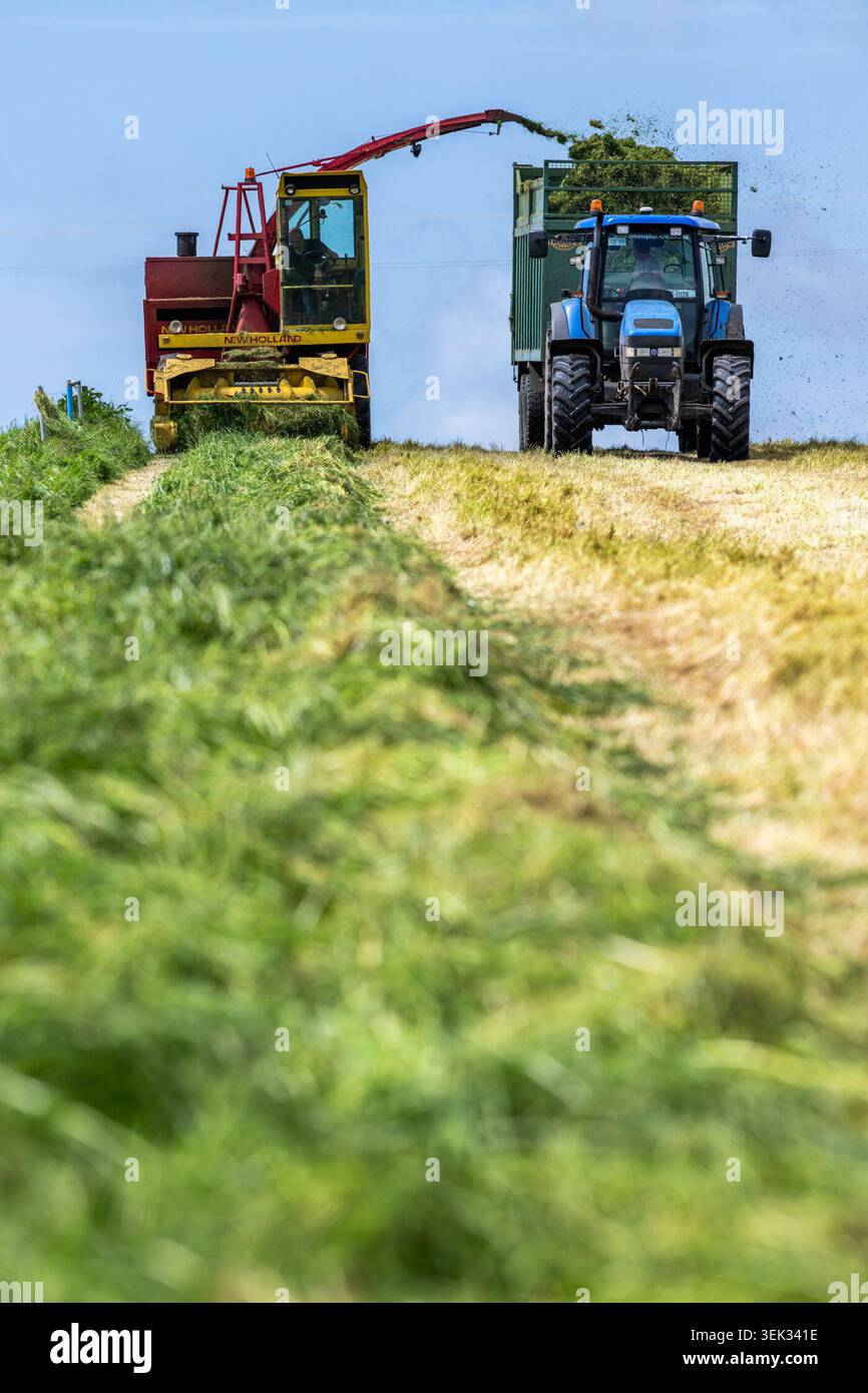 Kilbrittain, West Cork, Ireland. 29th May, 2026. On a sunny day in West ...