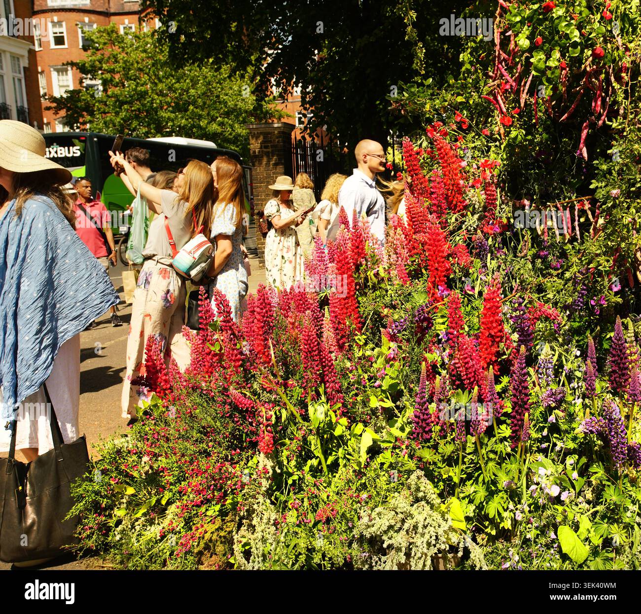 London UK may 18 2026 . People taking selfie on wonderful flower ...