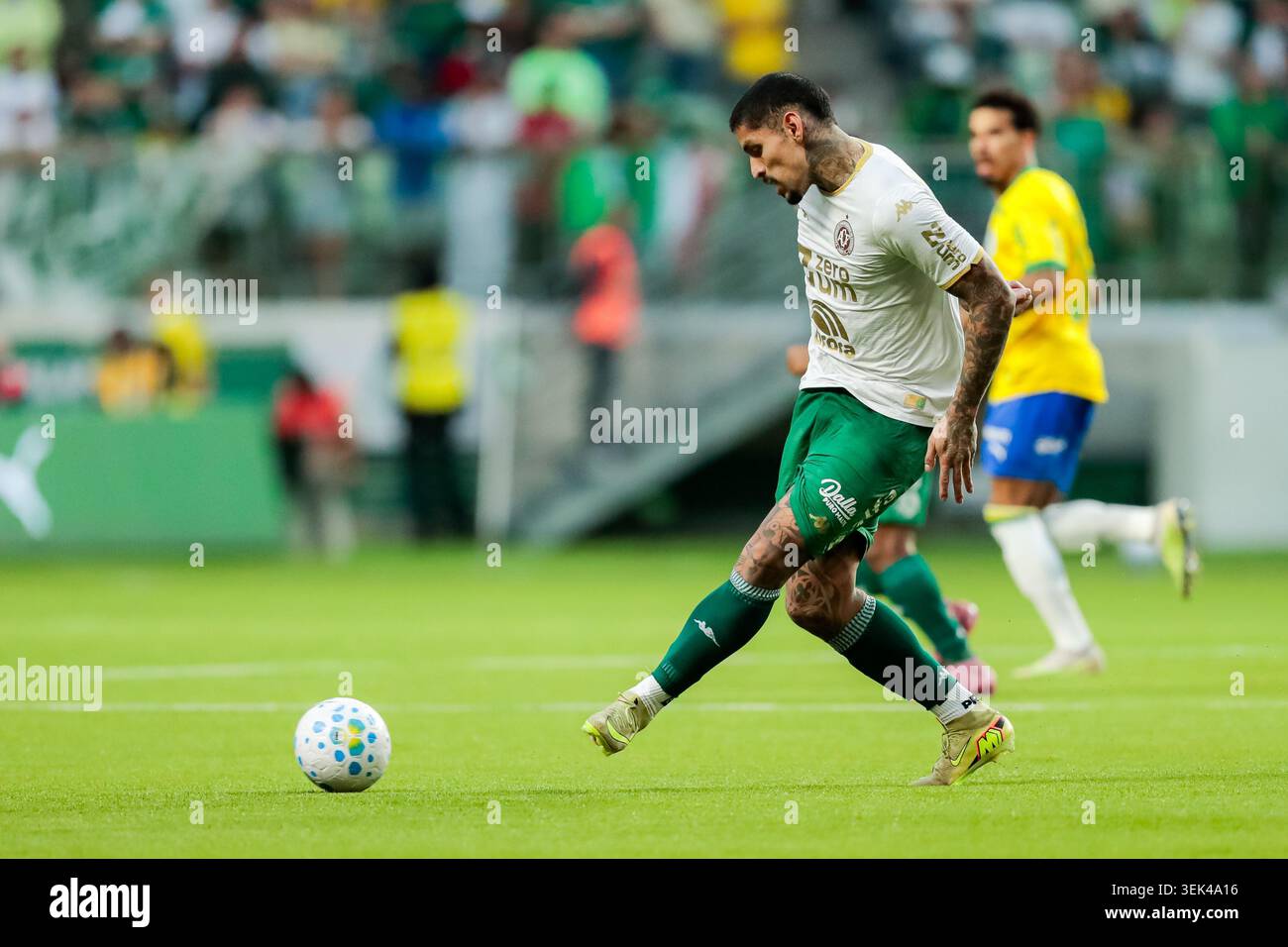 Palmeiras 2026 sao paulo hi-res stock photography and images - Alamy