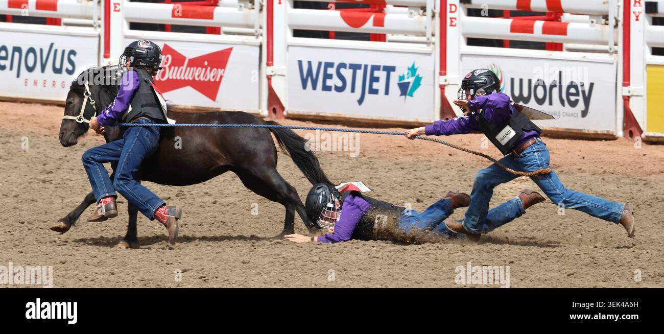 Children's Wild Pony Racing event at the Calgary Stampede rodeo in ...