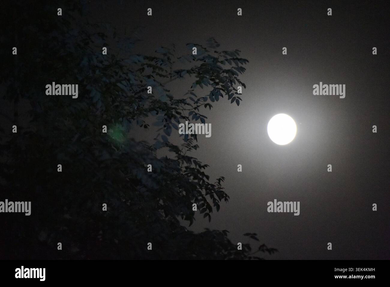 QINGZHOU, CHINA - The 2026 annual minimum full moon was captured in the ...