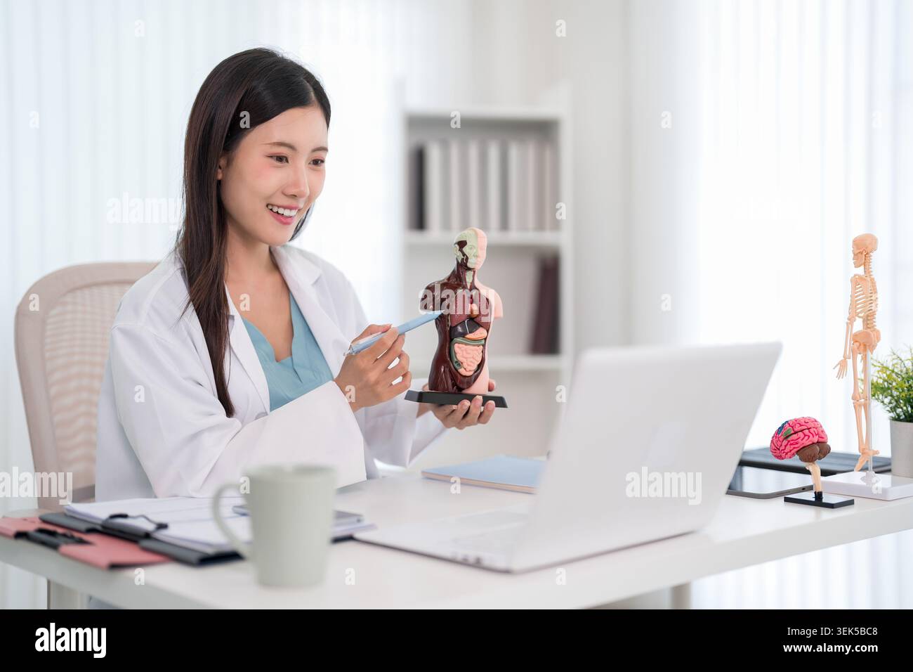 Asian female doctor teaching human anatomy using organ model laptop ...
