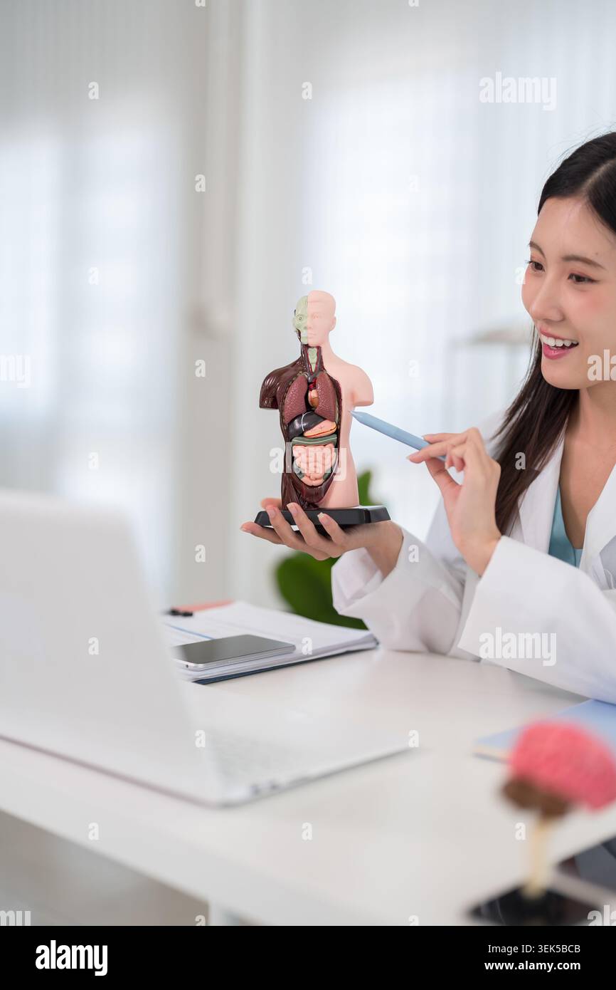 Young Asian woman in white coat pointing at anatomical organ model ...