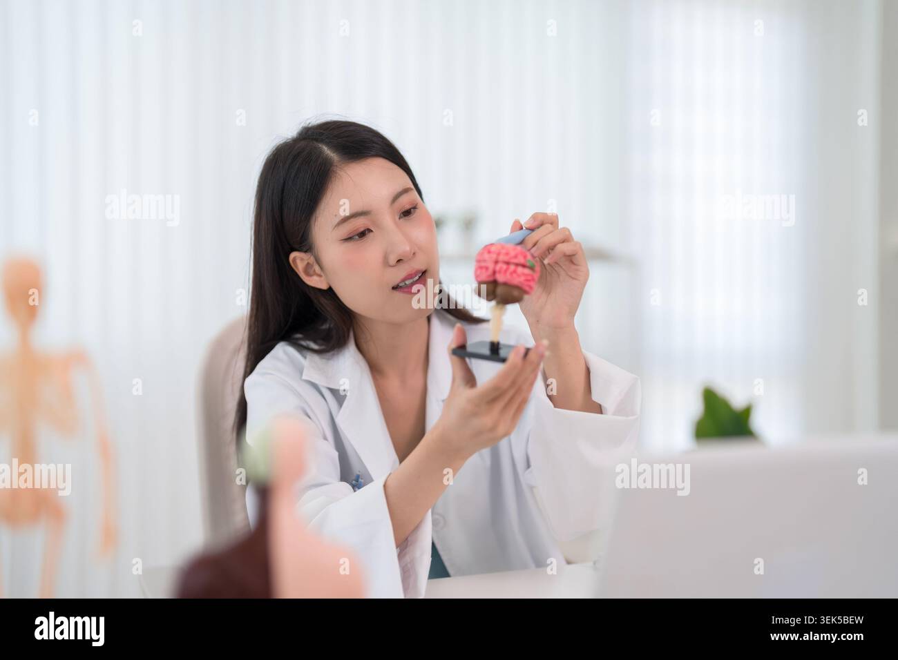 Asian female dentist examining dental teeth model prosthesis in modern ...