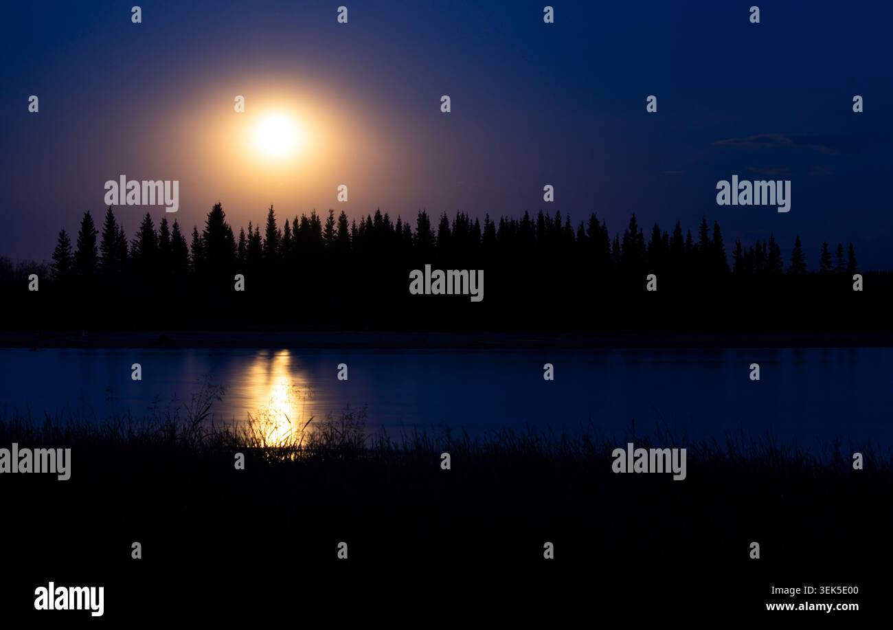 Bright full moon rising over silhouette of trees along the Delta River ...