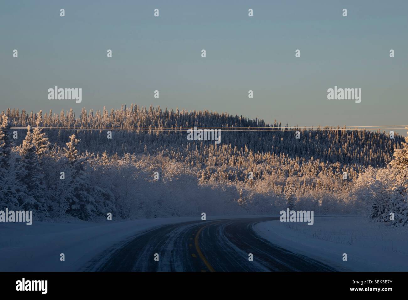 Sun shining on snowy trees on a hill next to the Richardson Highway on ...