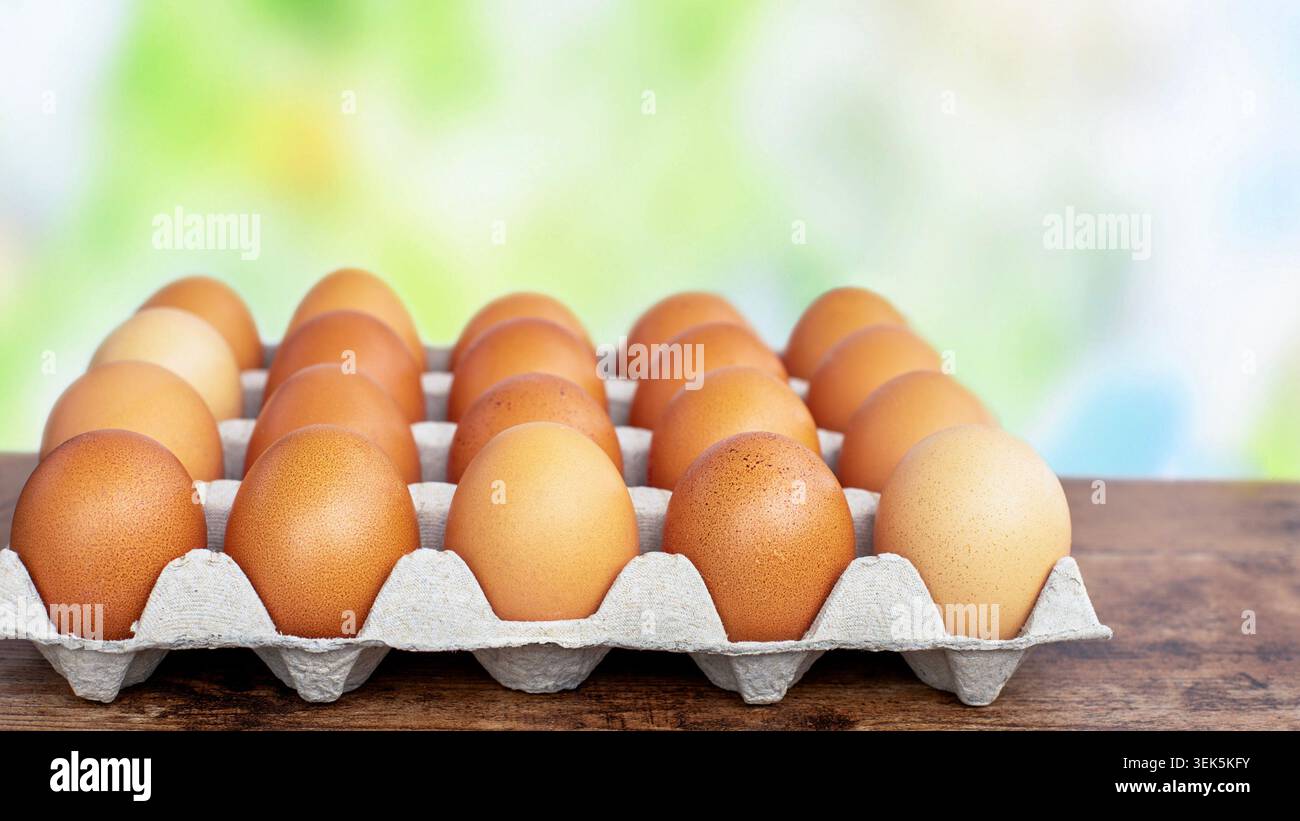 A row of fresh brown organic eggs placed in a cardboard tray package on ...