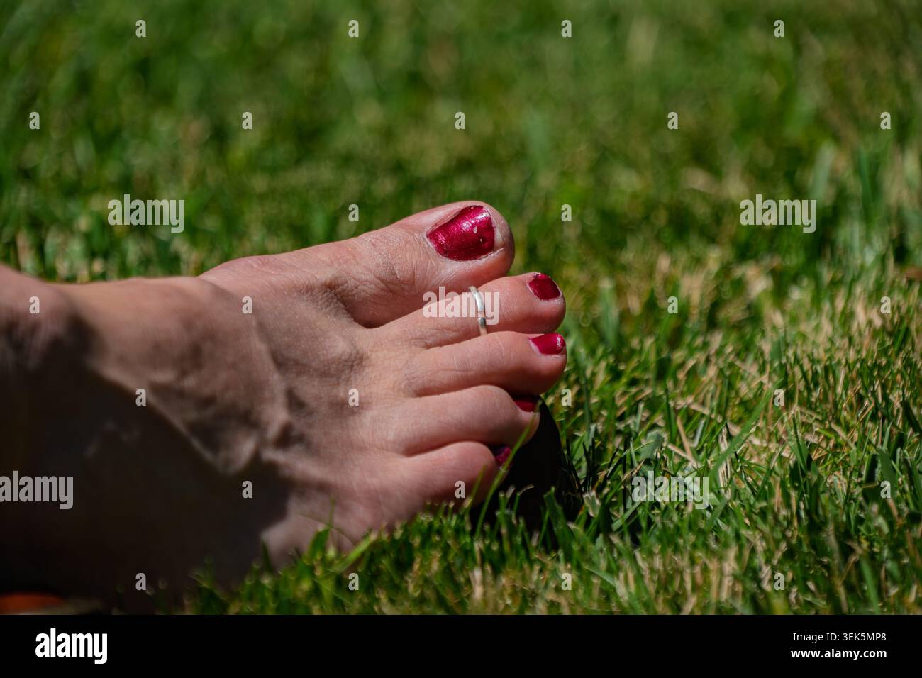 Ladies foot in grass with toe ring Stock Photo - Alamy