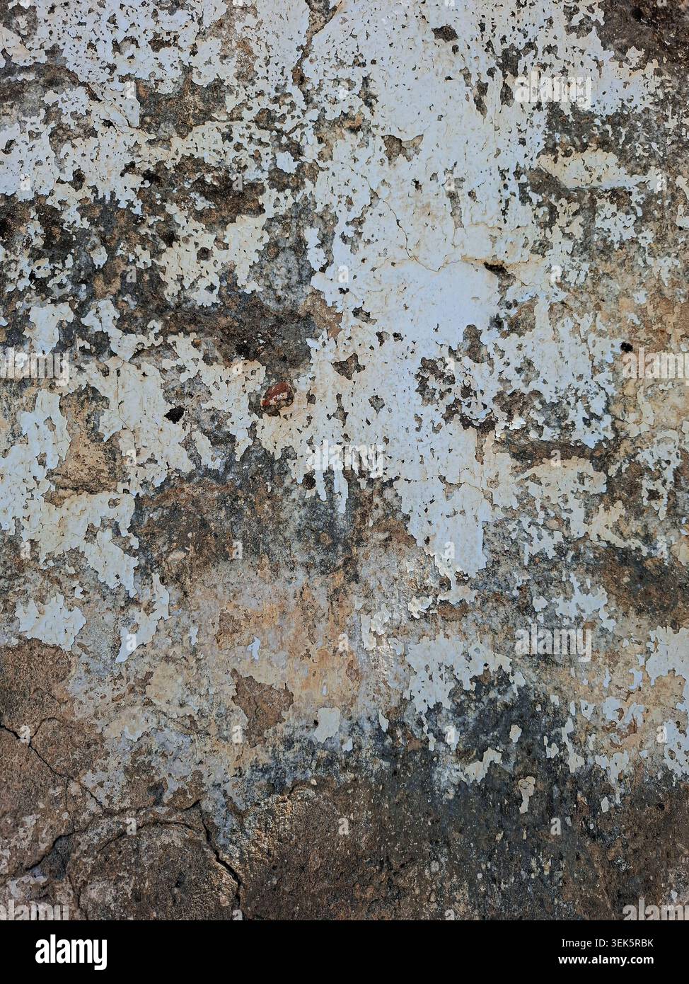 This rustic background features a concrete wall where white paint has ...