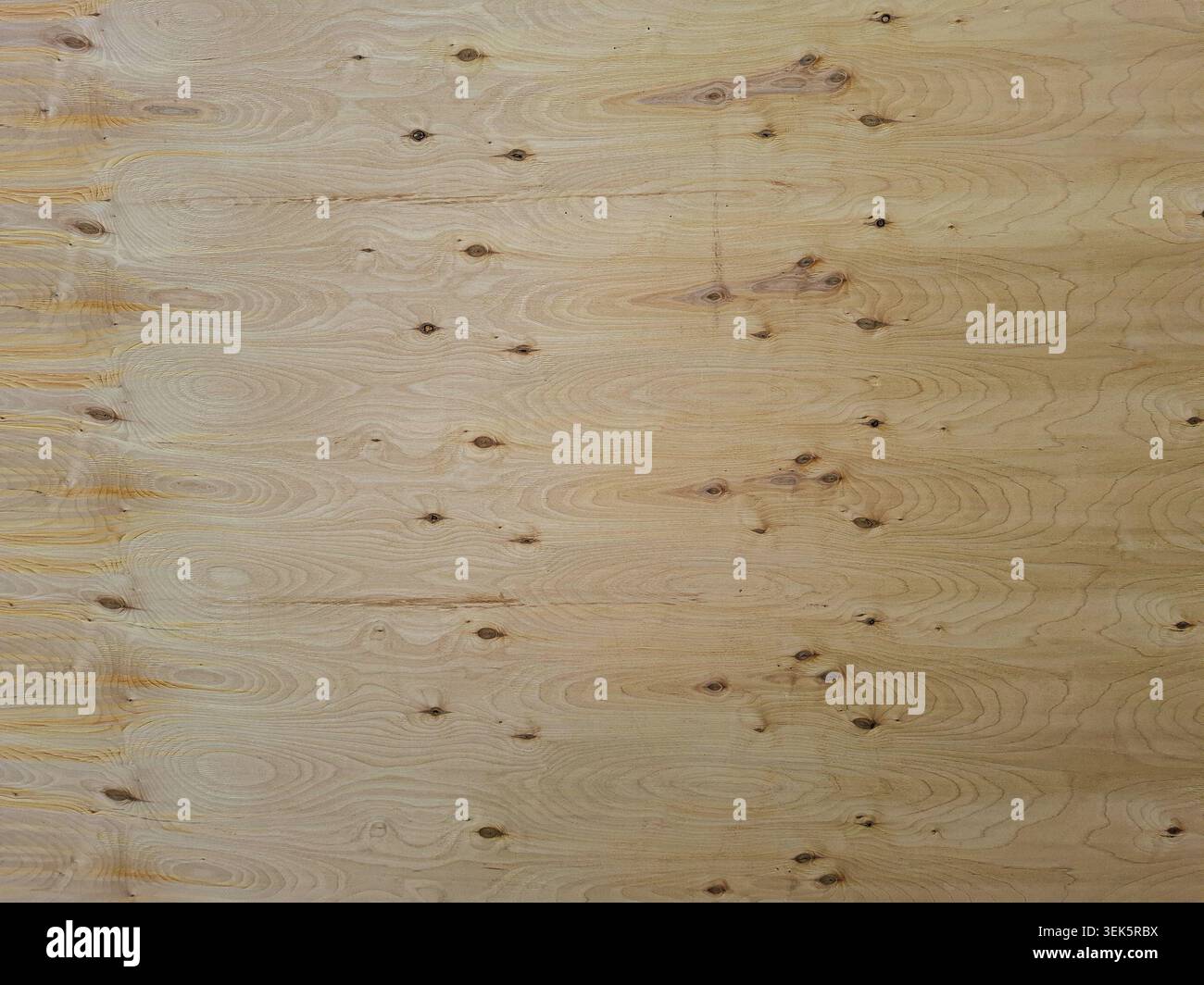 Natural wooden plywood sheet shows a grain pattern with knots and lines ...