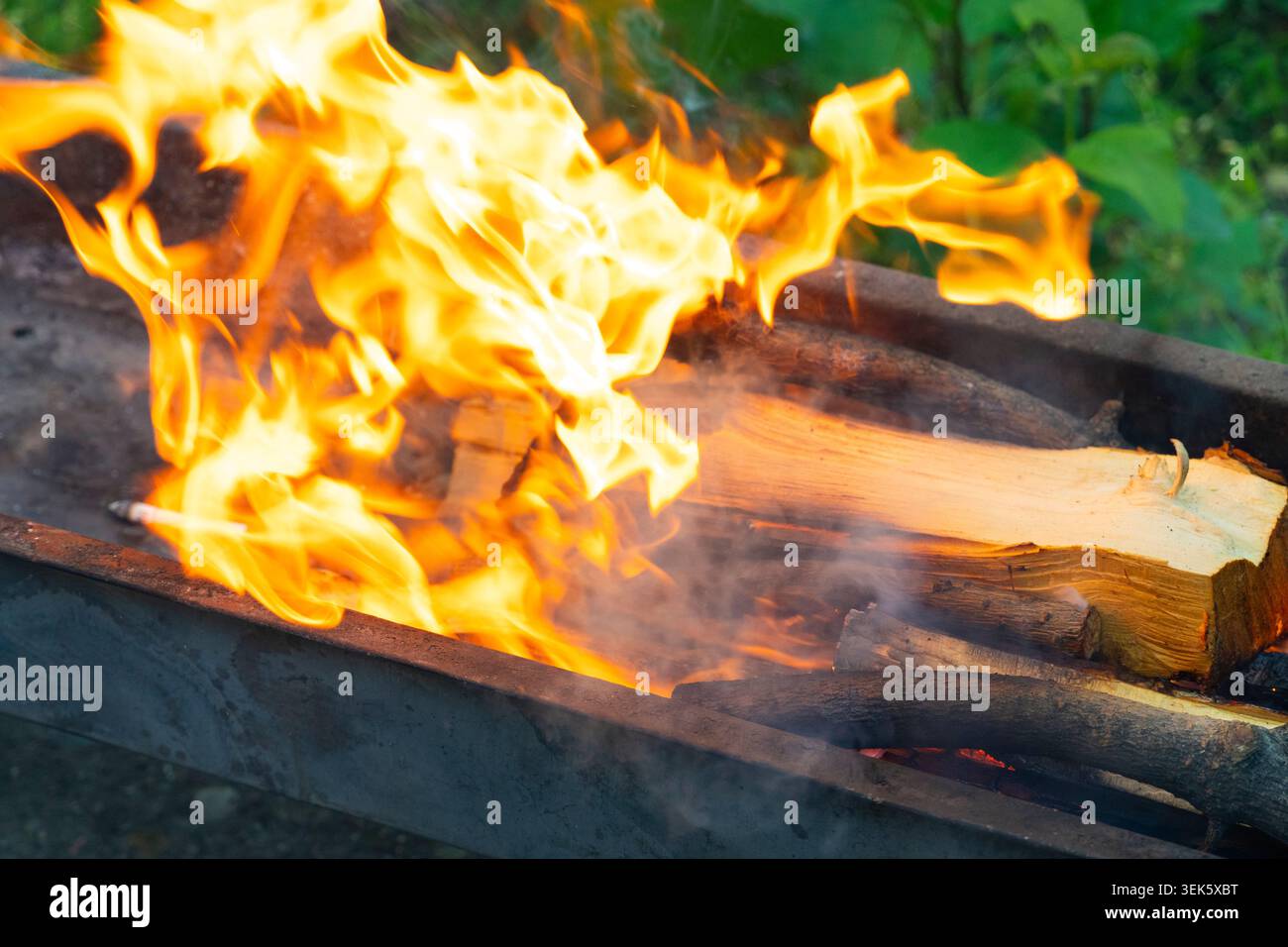 Close up of burning firewood with bright orange flames and smoke ...