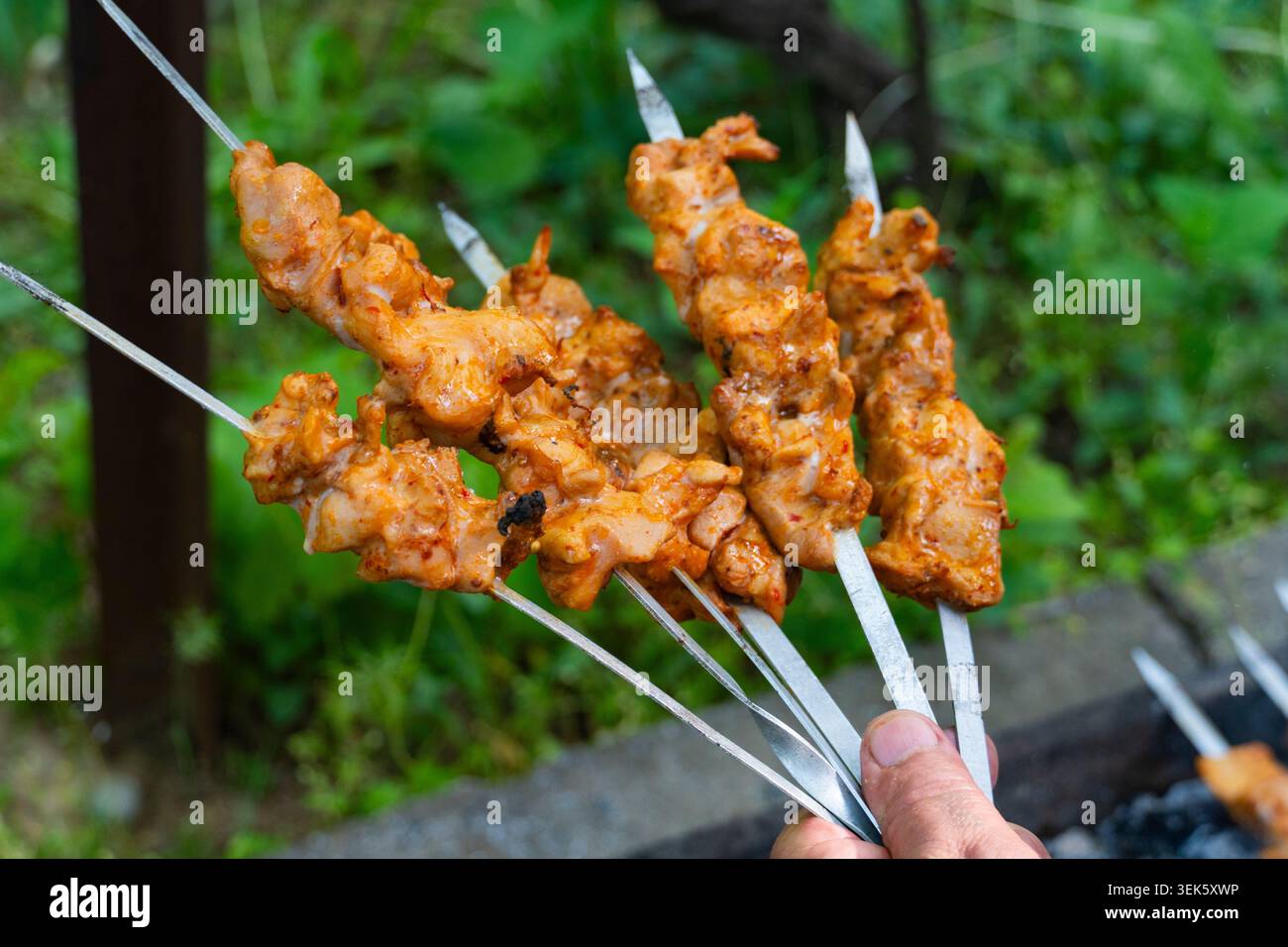 Close-up of marinated meat skewers grilling over hot charcoal, with ...