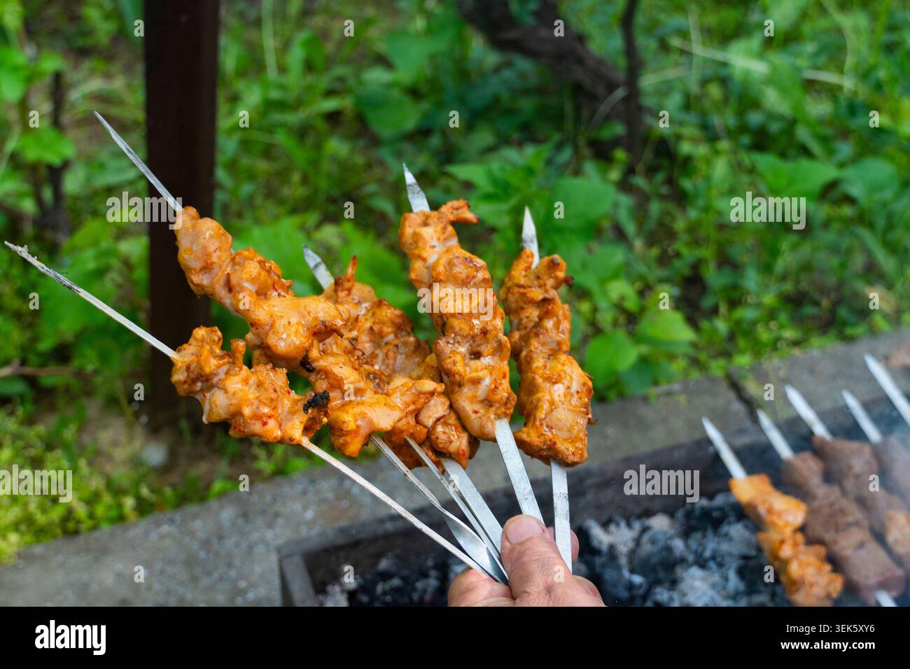 Close-up of marinated meat skewers grilling over hot charcoal, with ...