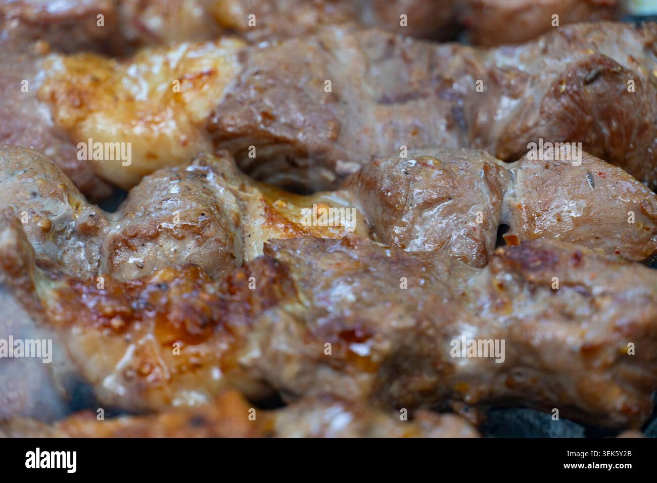 Close-up of marinated meat skewers grilling over hot charcoal, with ...