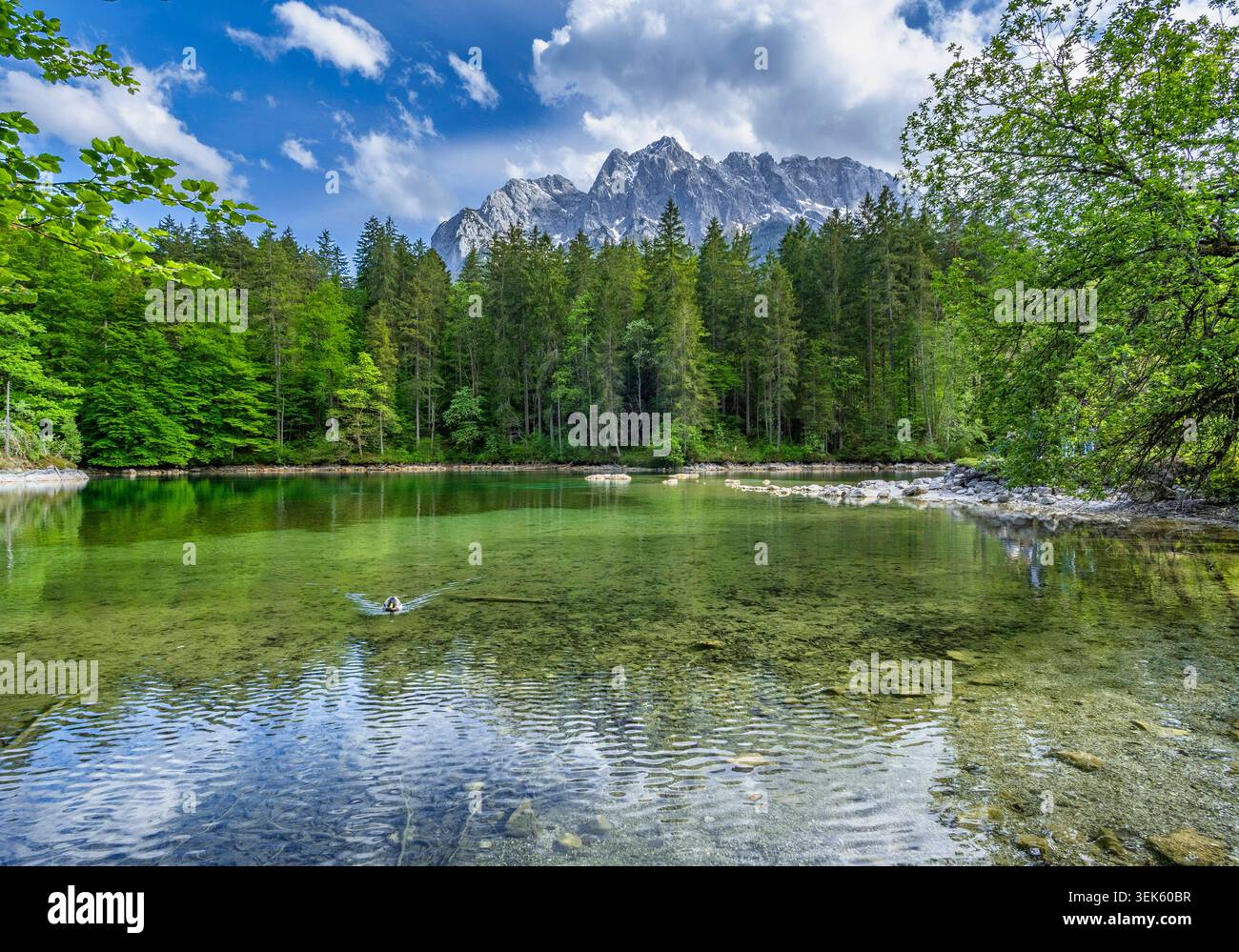 Badersee im Frühling mit Zugspitzgruppe, Wettersteingebirge ...