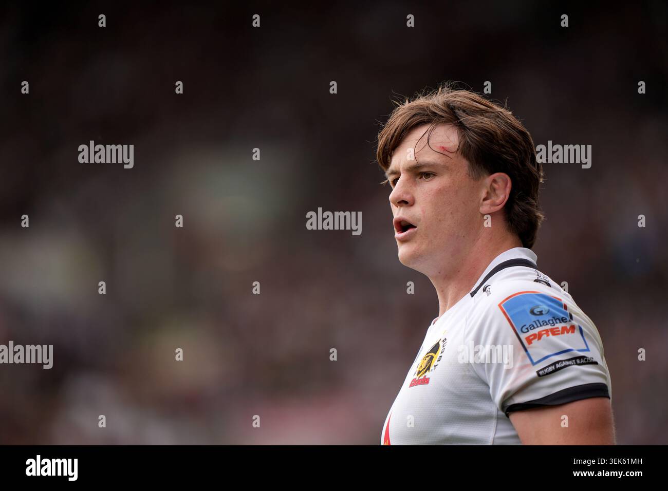 Exeter's Tom Hooper during the Gallagher PREM match at Mattioli Woods ...