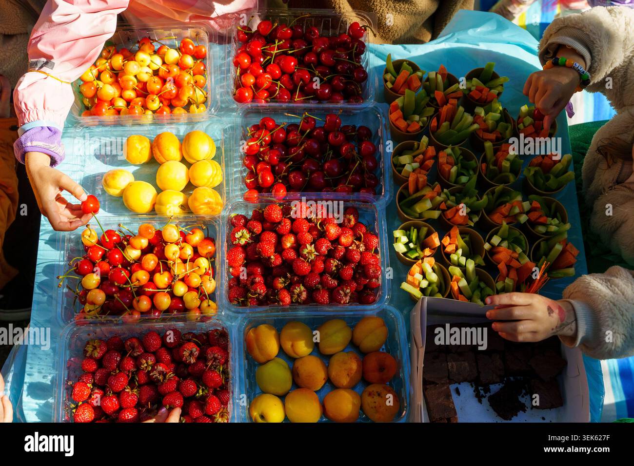 Child's hand picking fresh ripe berries from a plastic container at an ...