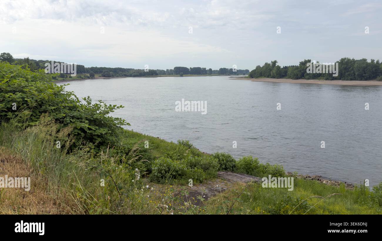 View on the scenic River Rhine in Duesseldorf Urdenbach Germany in ...