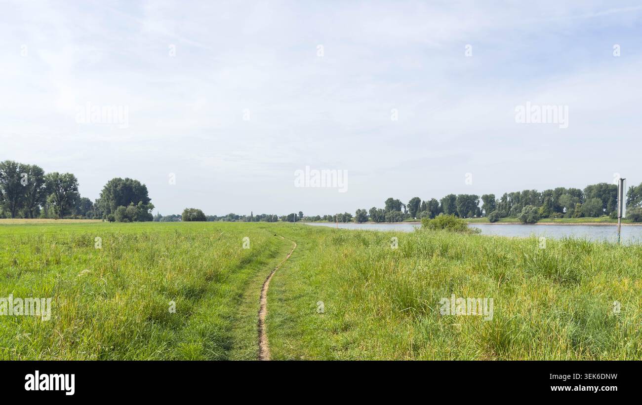 View on the scenic River Rhine in Duesseldorf Urdenbach Germany in ...