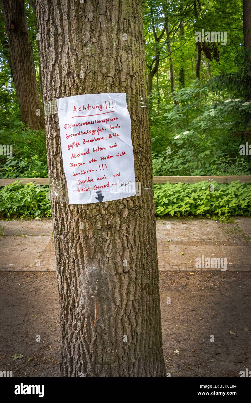 Berlin Reinickendorf , See Park Schäfersee, Eichenprozessionsspinner ...