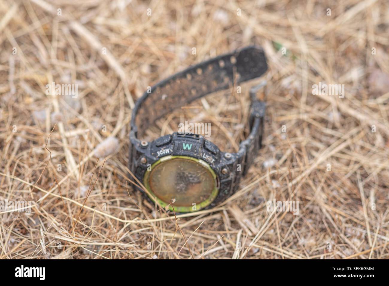 Eine vom Meer angeschwemmte Armbanduhr liegt auf einer Wiese in Nea ...