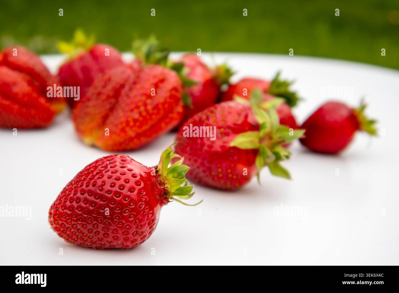 Fresh ripe strawberries photographed outdoors with natural light ...