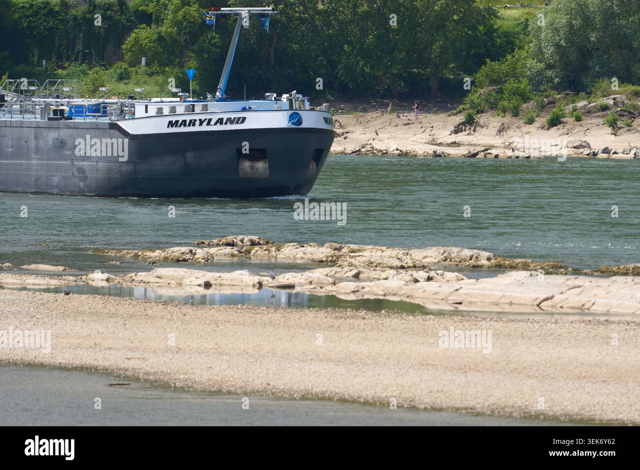 01 June 2026, Rhineland-Palatinate, Oberwesel: A cargo ship passes a ...