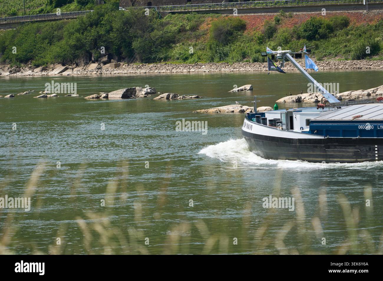01 June 2026, Rhineland-Palatinate, Oberwesel: A cargo ship passes a ...