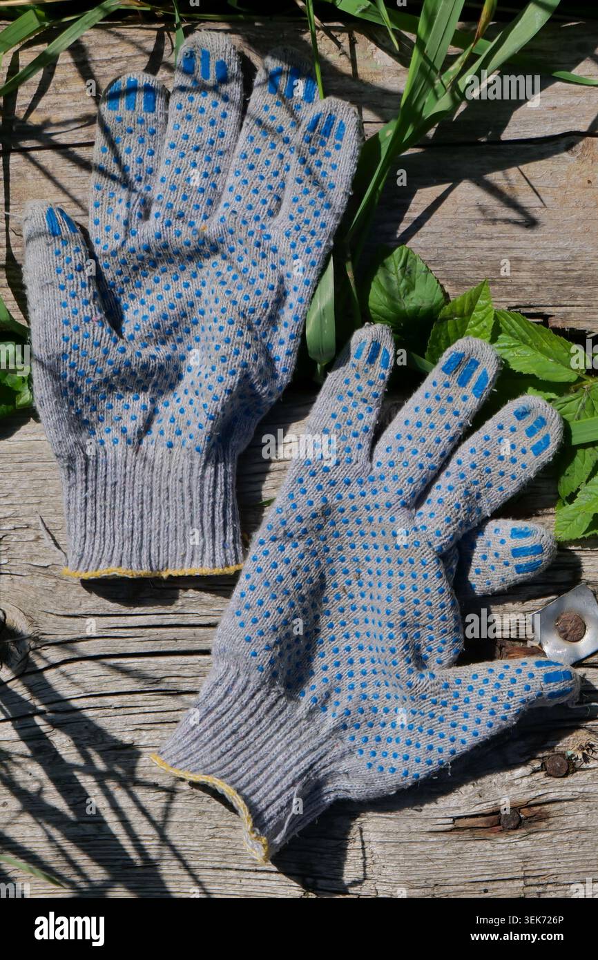 Pair of gardening gloves on wooden planks with green plants. vertical ...